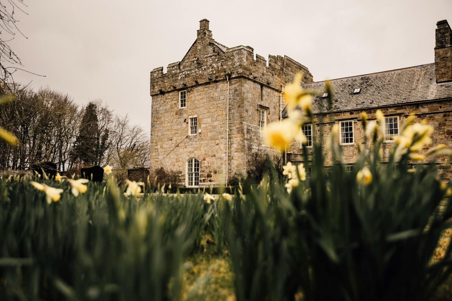 Let Love Blossom | Your Complete Guide to Spring Weddings - Shortflatt ...